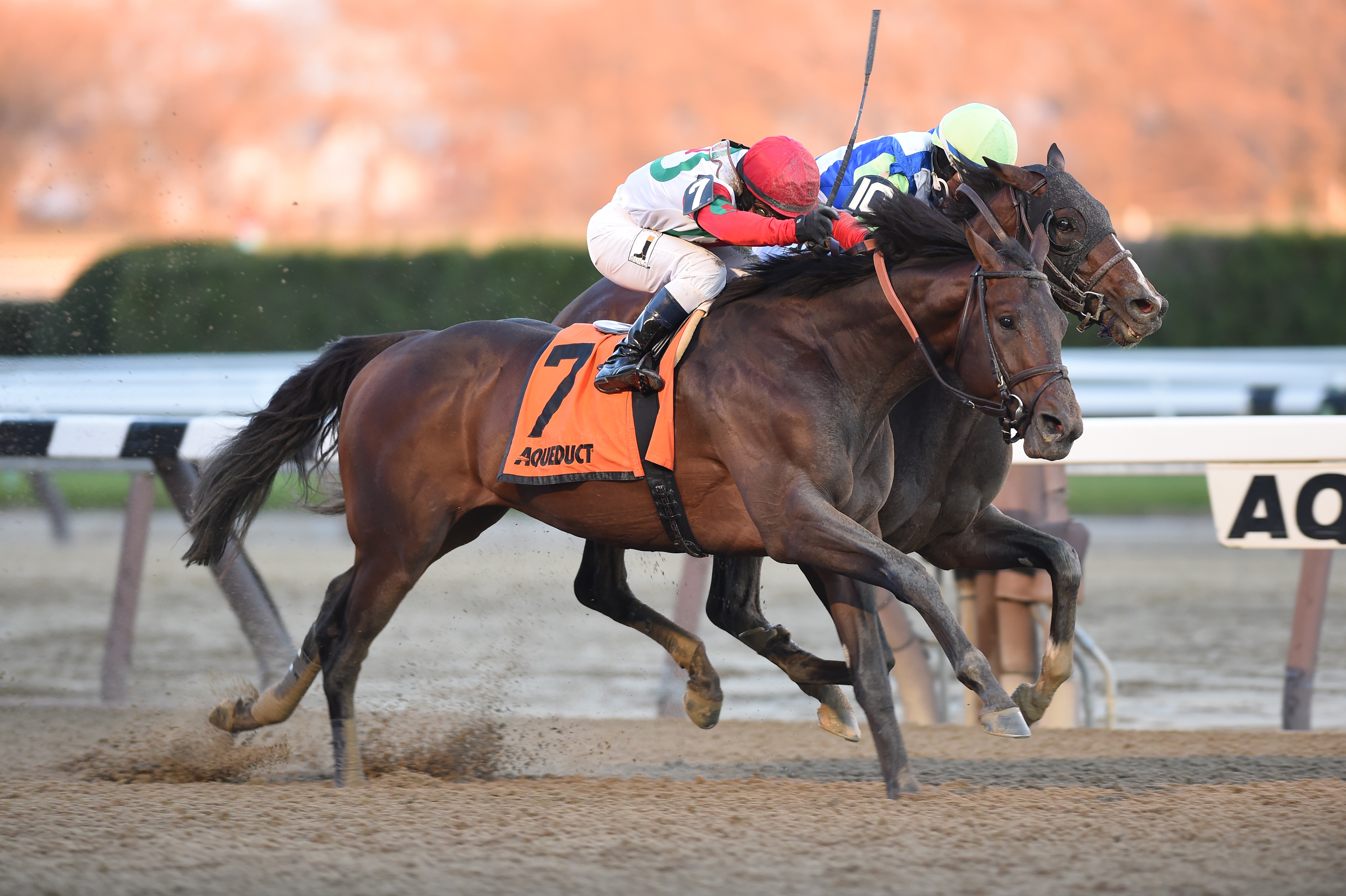 Grade 1 winner Connect retires to Lane’s End | BRISnet.com Trusted Data ...