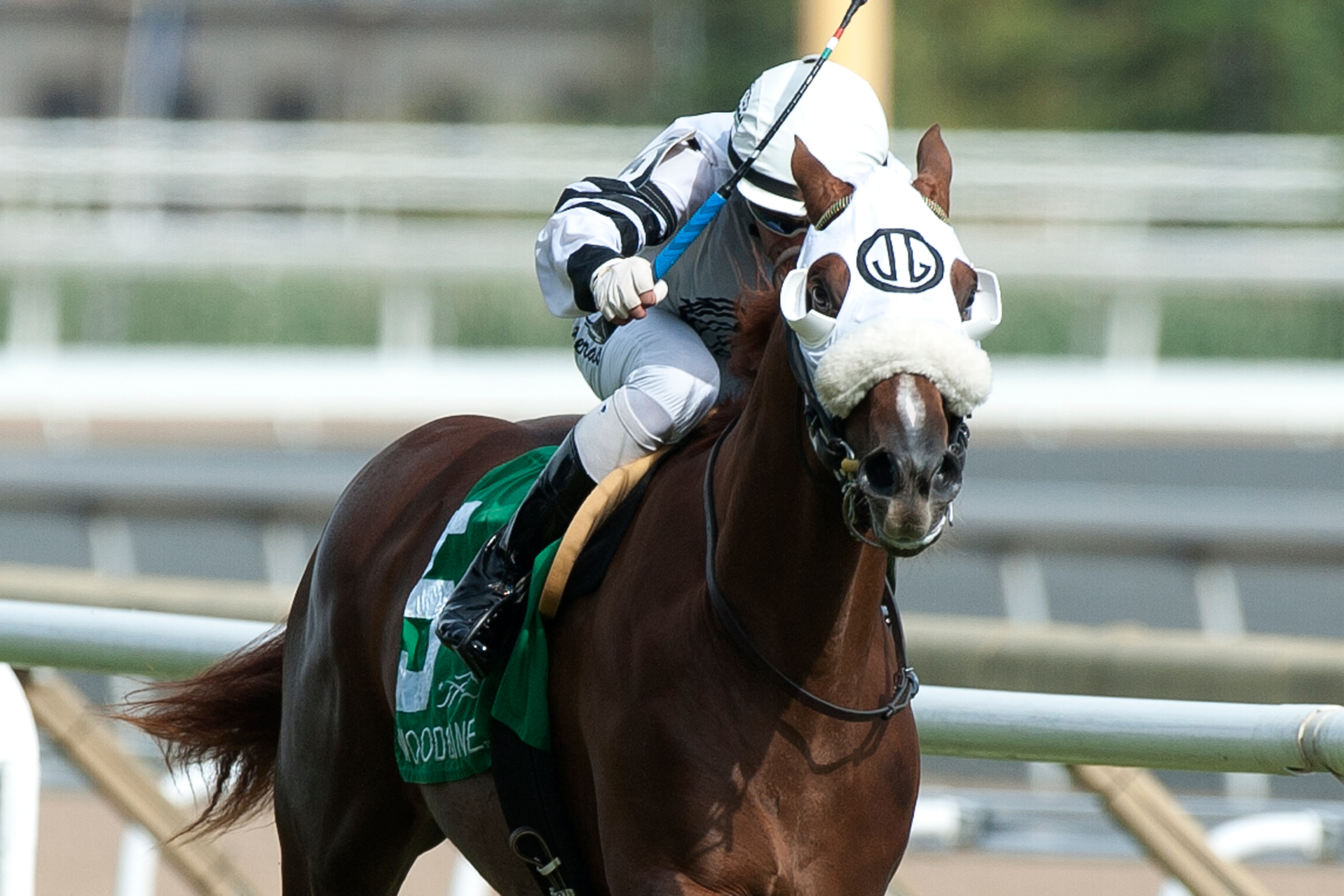 Channel Maker reverts to turf for Breeders’ Stakes | BRISnet.com ...