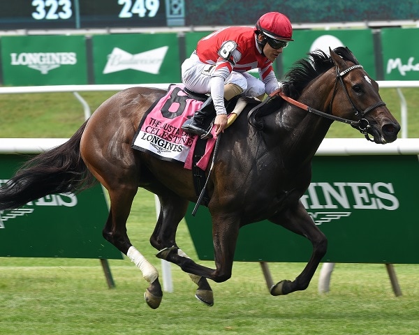 Celestine faces four in Noble Damsel; Sharp Azteca likely choice in ...