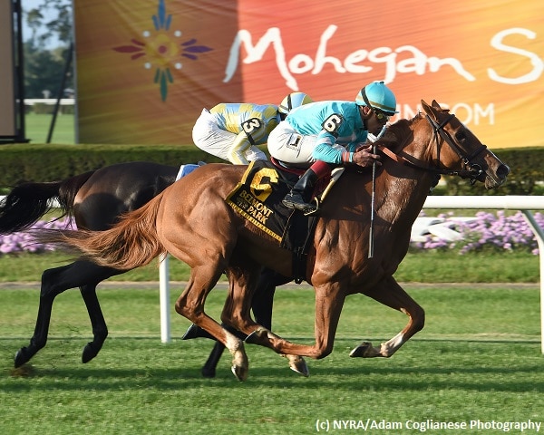Uni captures Sands Point | BRISnet.com Trusted Data & More