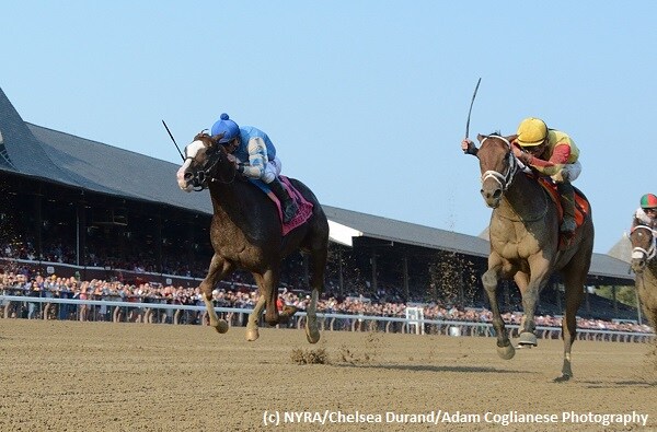 Third stakes attempt could be the charm for Free Drop Billy in Breeders ...