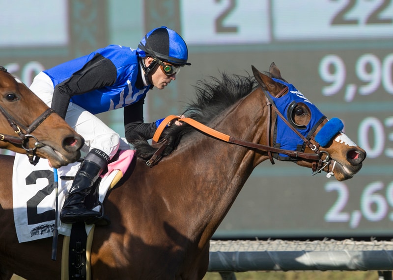 Midnight Crossing steals Frankel in first start for new connections ...