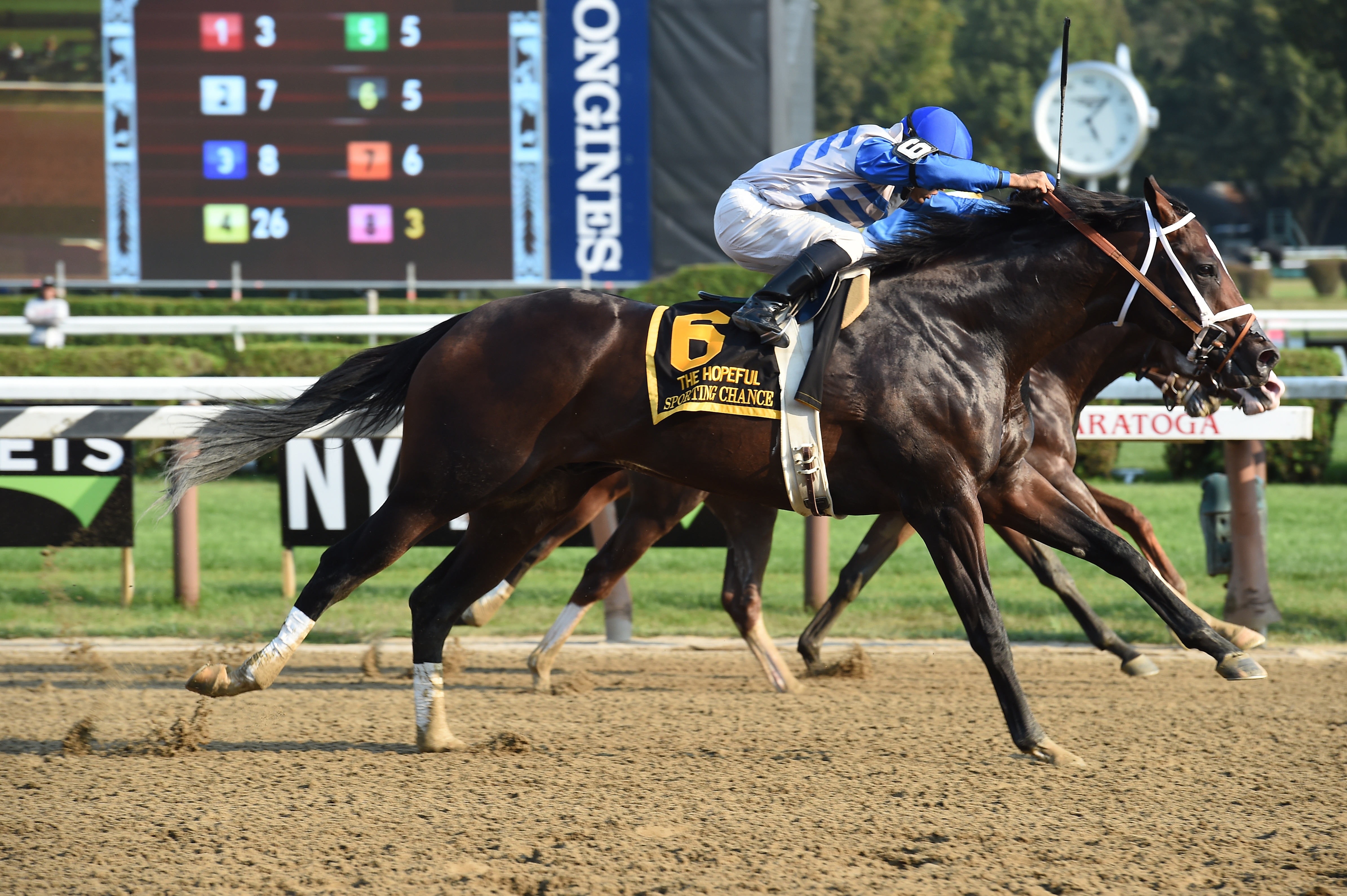 Sporting Chance turns in strong half-mile work | BRISnet.com Trusted ...