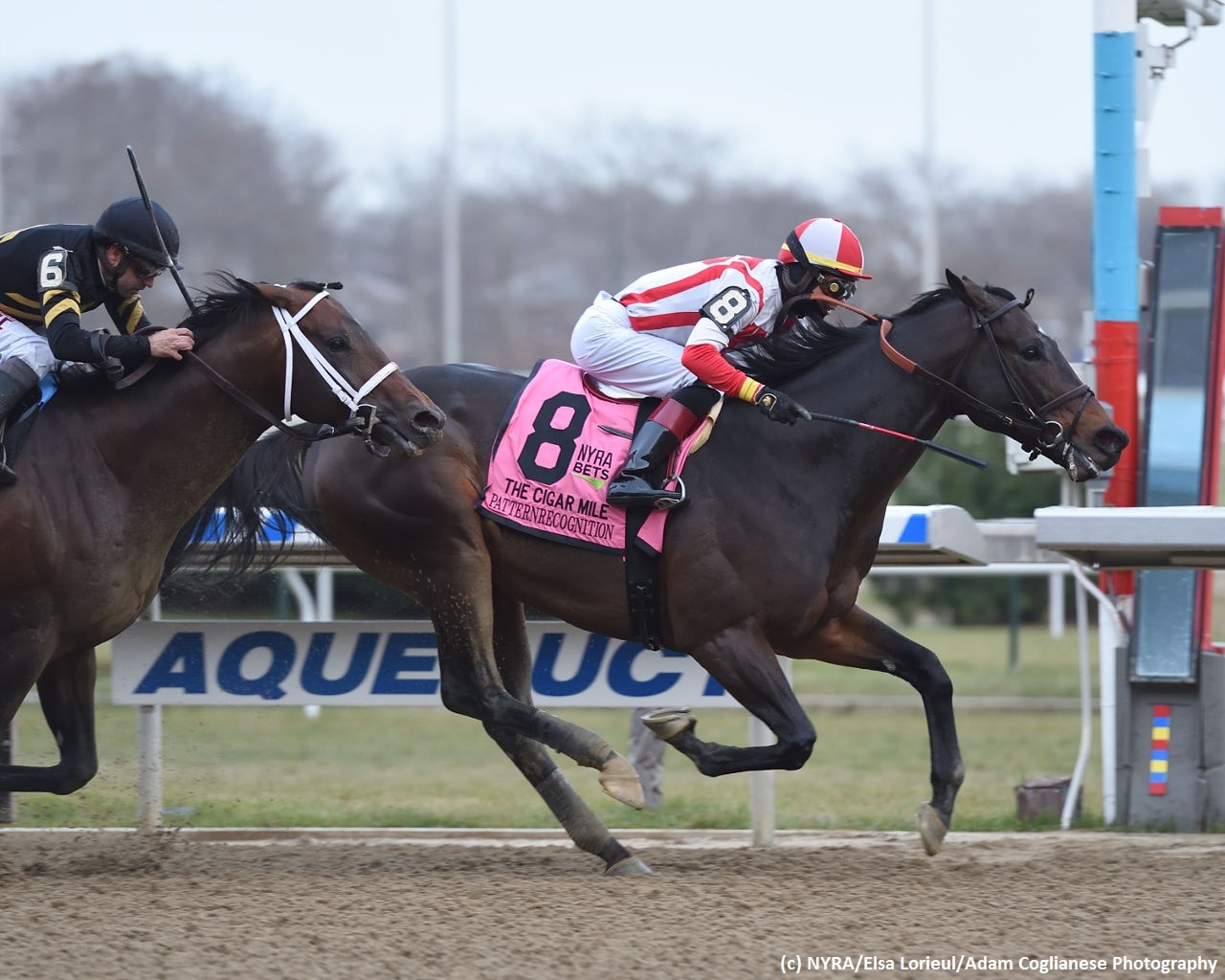 Patternrecognition wires Cigar Mile | BRISnet.com Trusted Data & More