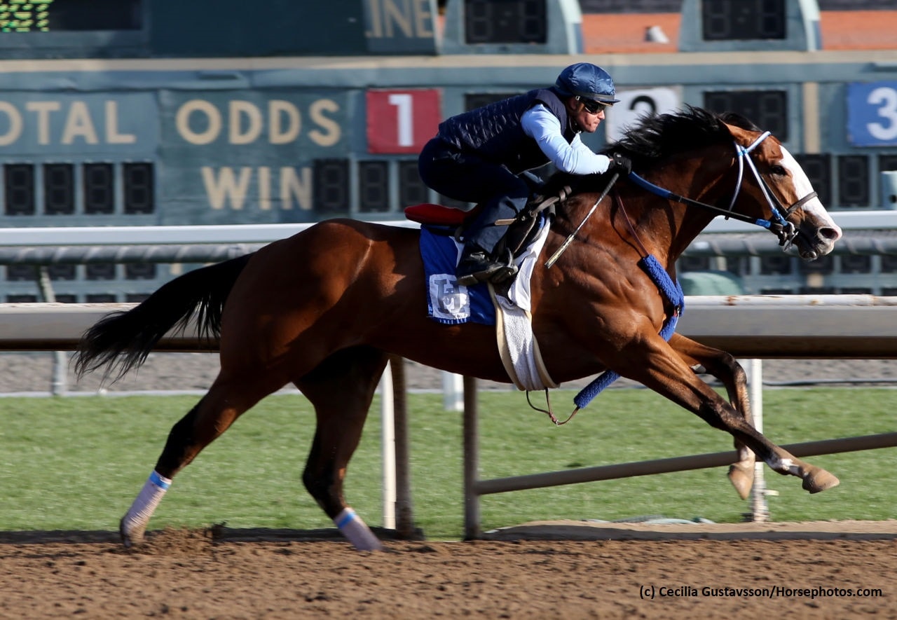 Game Winner, Improbable, Instagrand work as Santa Anita surface comes ...