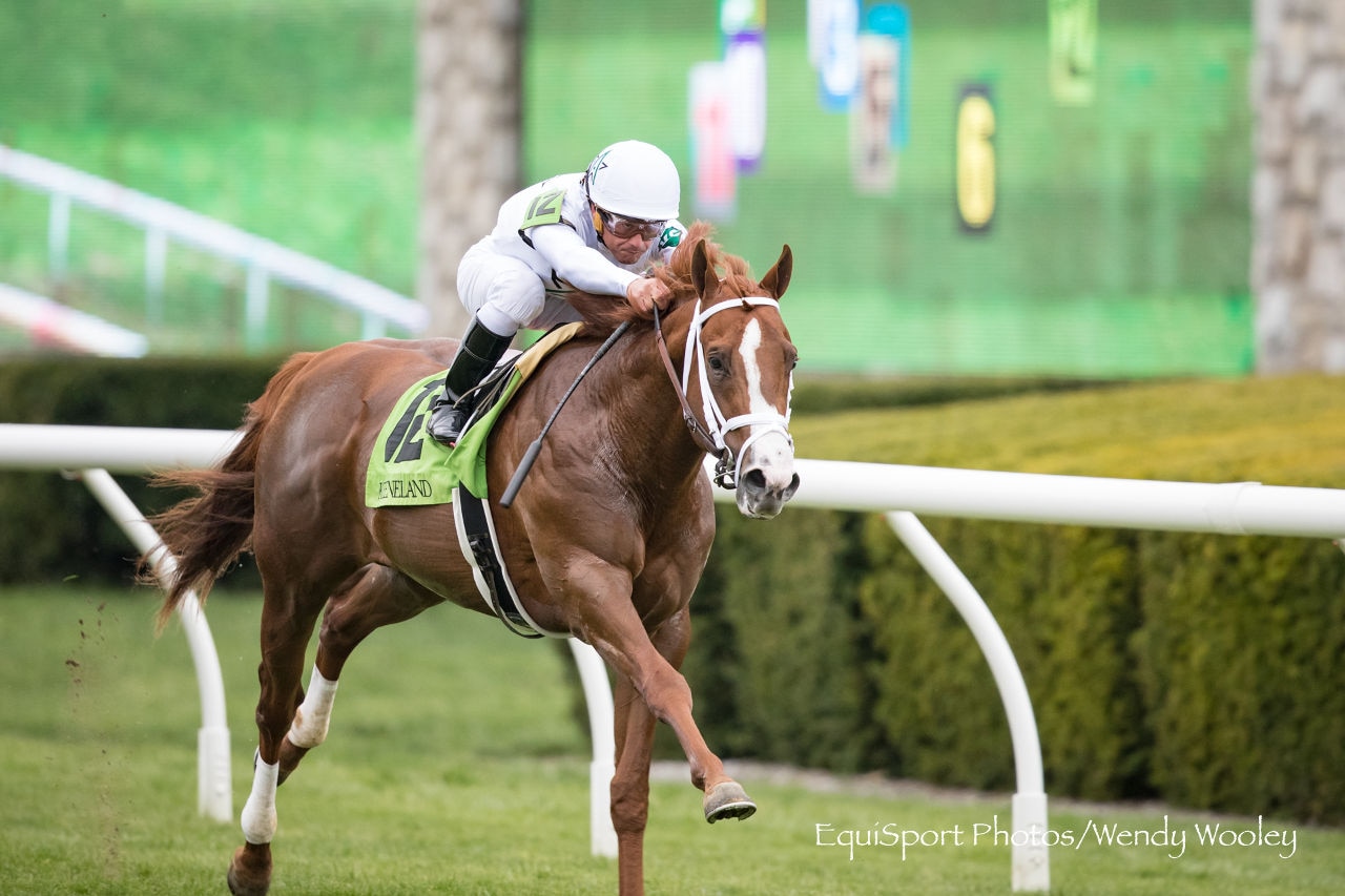 News flash: Bulletin runs himself into Royal Ascot picture at Keeneland ...