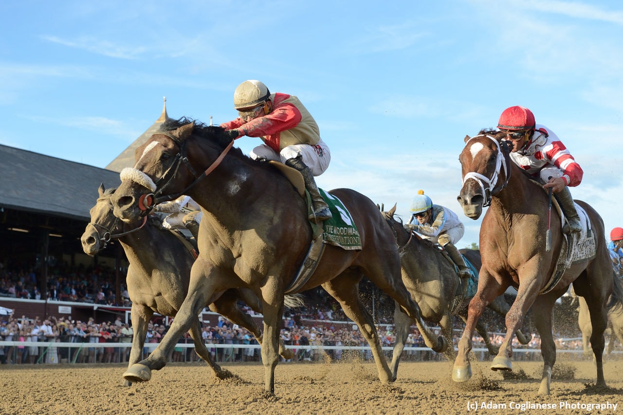 Preservationist gets through to win Woodward | BRISnet.com Trusted Data ...
