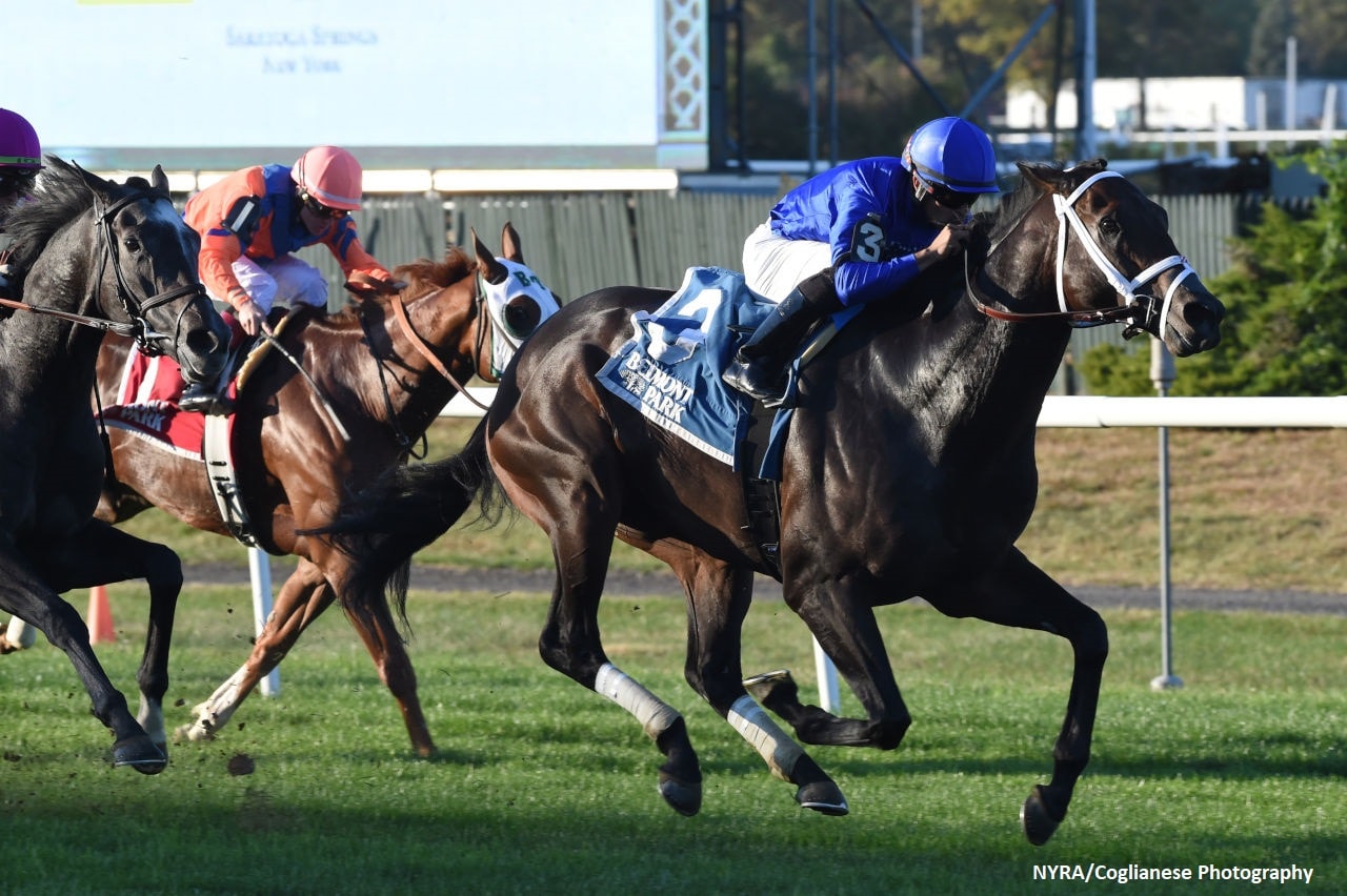 Lucullan scores knockout in Knickerbocker; Catholic Boy fourth ...