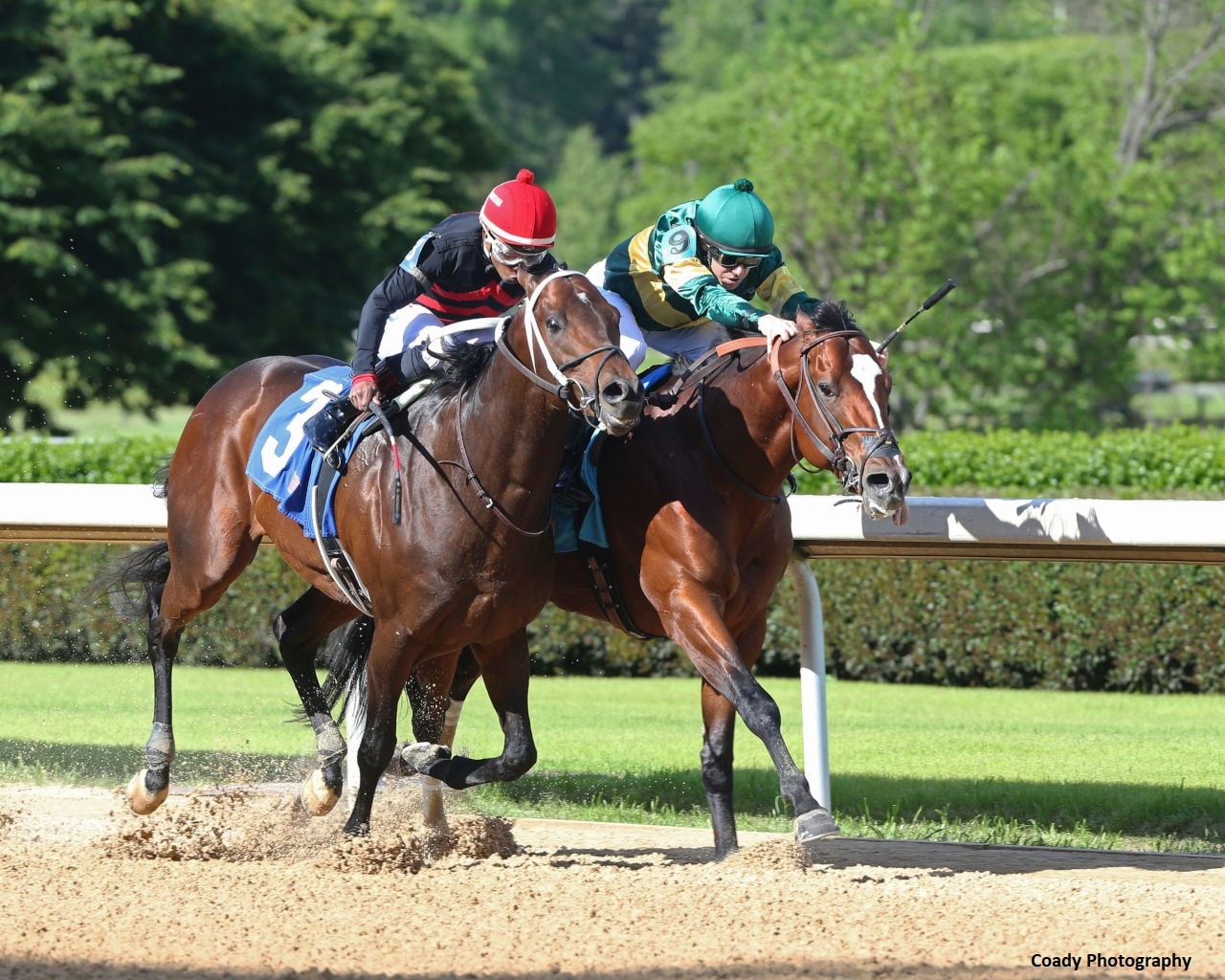 Long Weekend turns back Echo Town in Bachelor | BRISnet.com Trusted ...