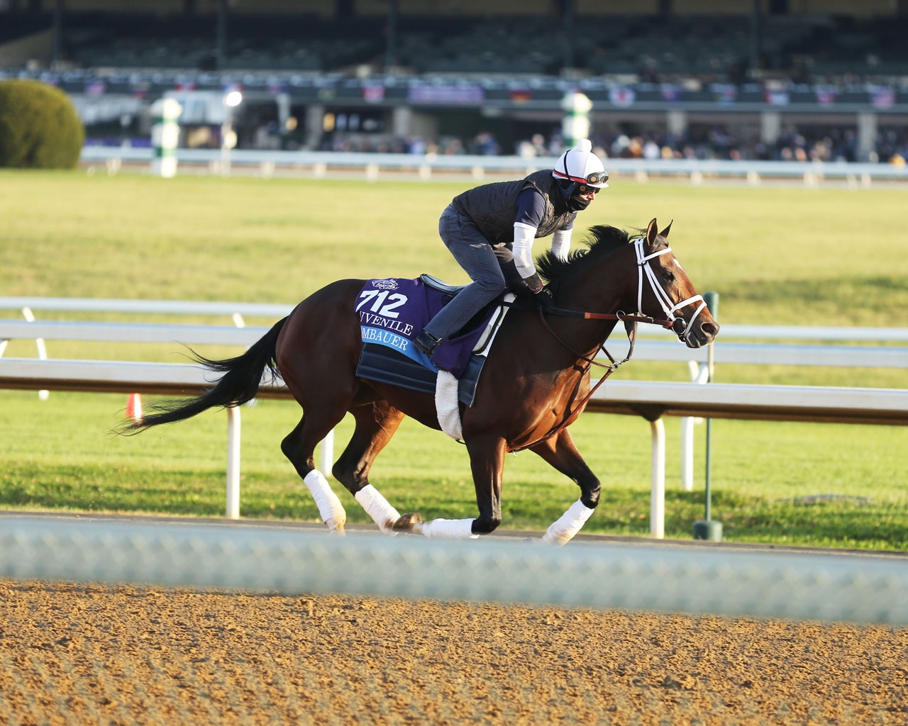 Rombauer, Petruchio top draws in nine-horse El Camino Real Derby ...