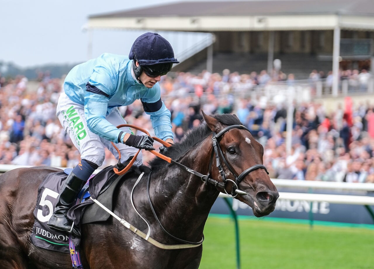 Royal Patronage looking to give Motion another Virginia Derby success ...