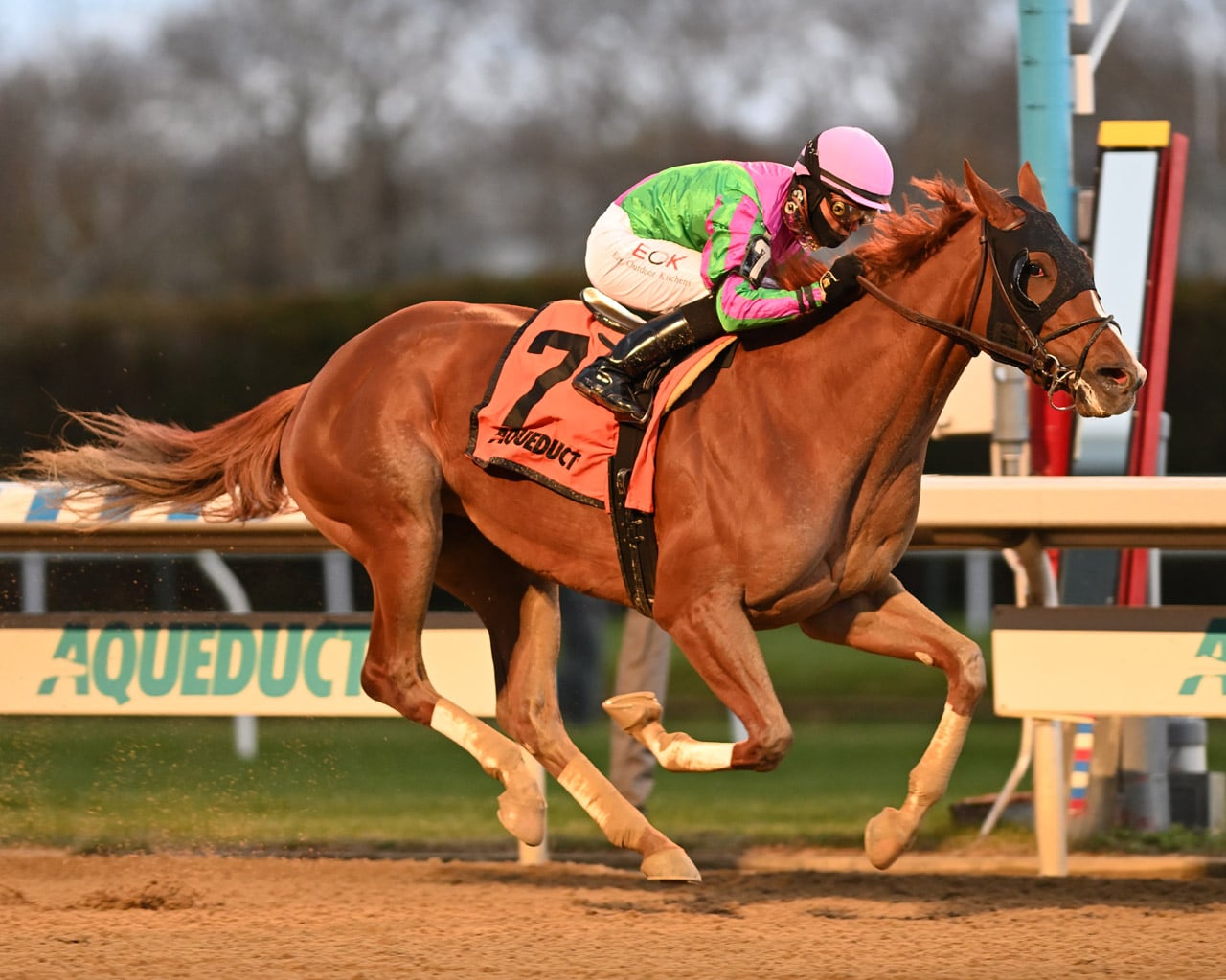 Bees and Honey posts upset in Comely | BRISnet.com Trusted Data & More