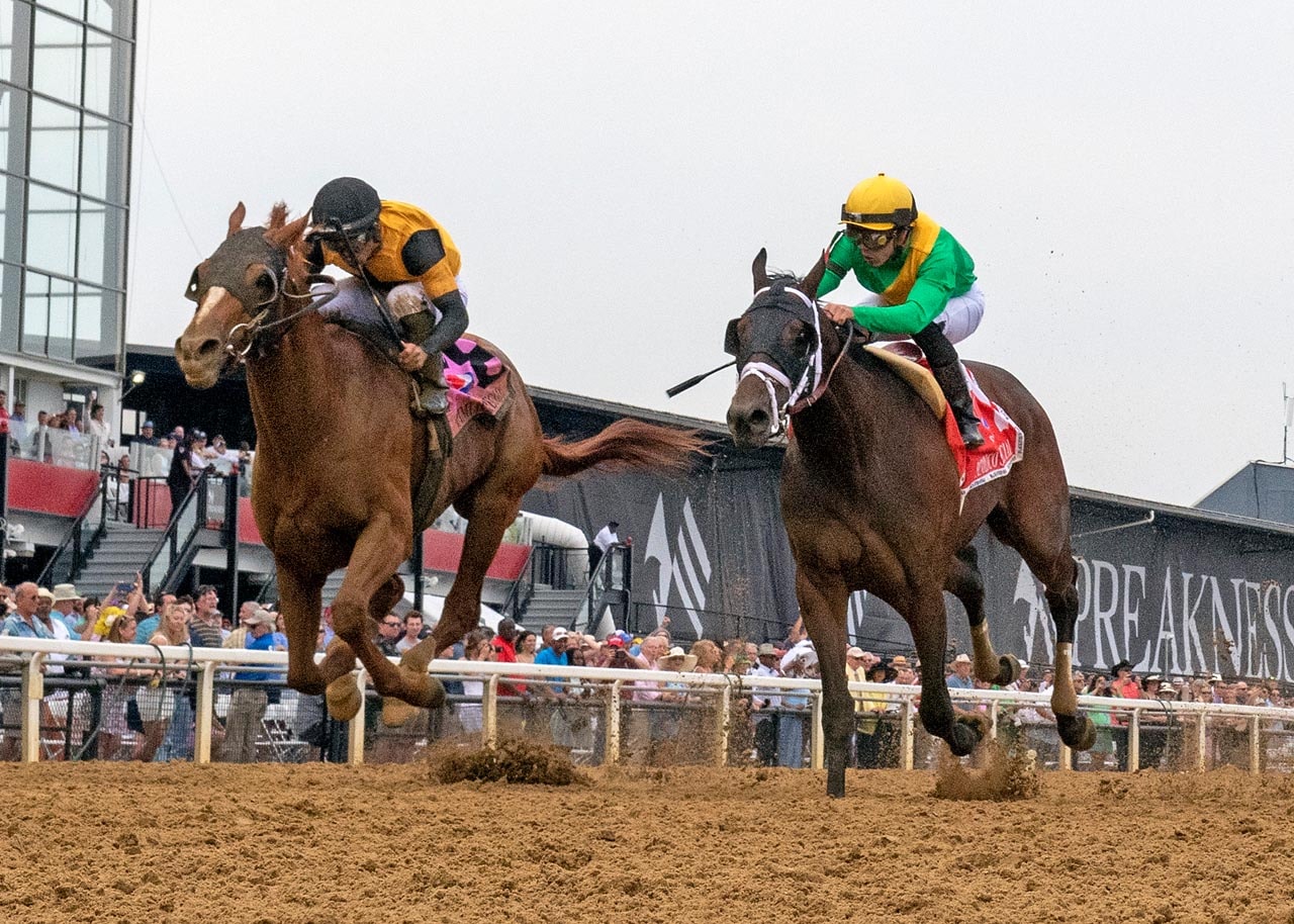 First Captain kicks off five-year-old campaign in Ghostzapper | BRISnet ...