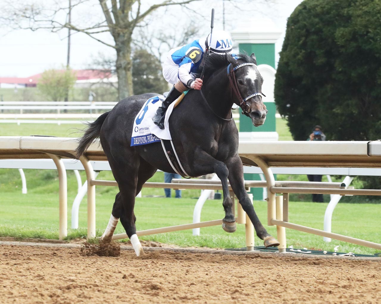 Defining Purpose turns back rivals in Ashland upset | BRISnet.com Trusted Data & More