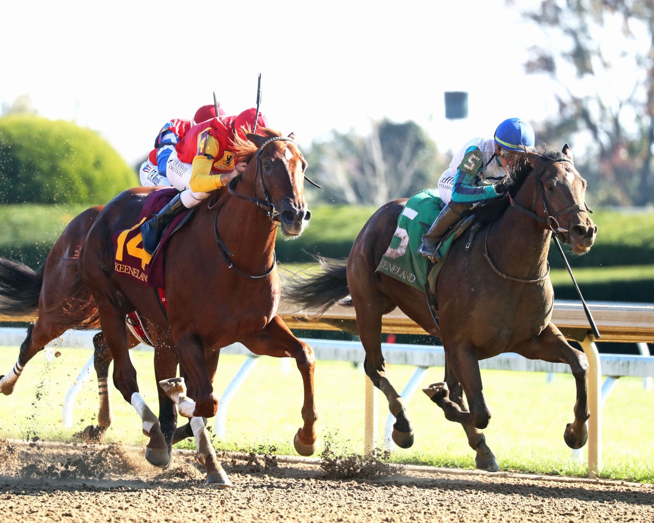 Stakes newcomer Brunacini upsets Perryville | BRISnet.com Trusted Data ...