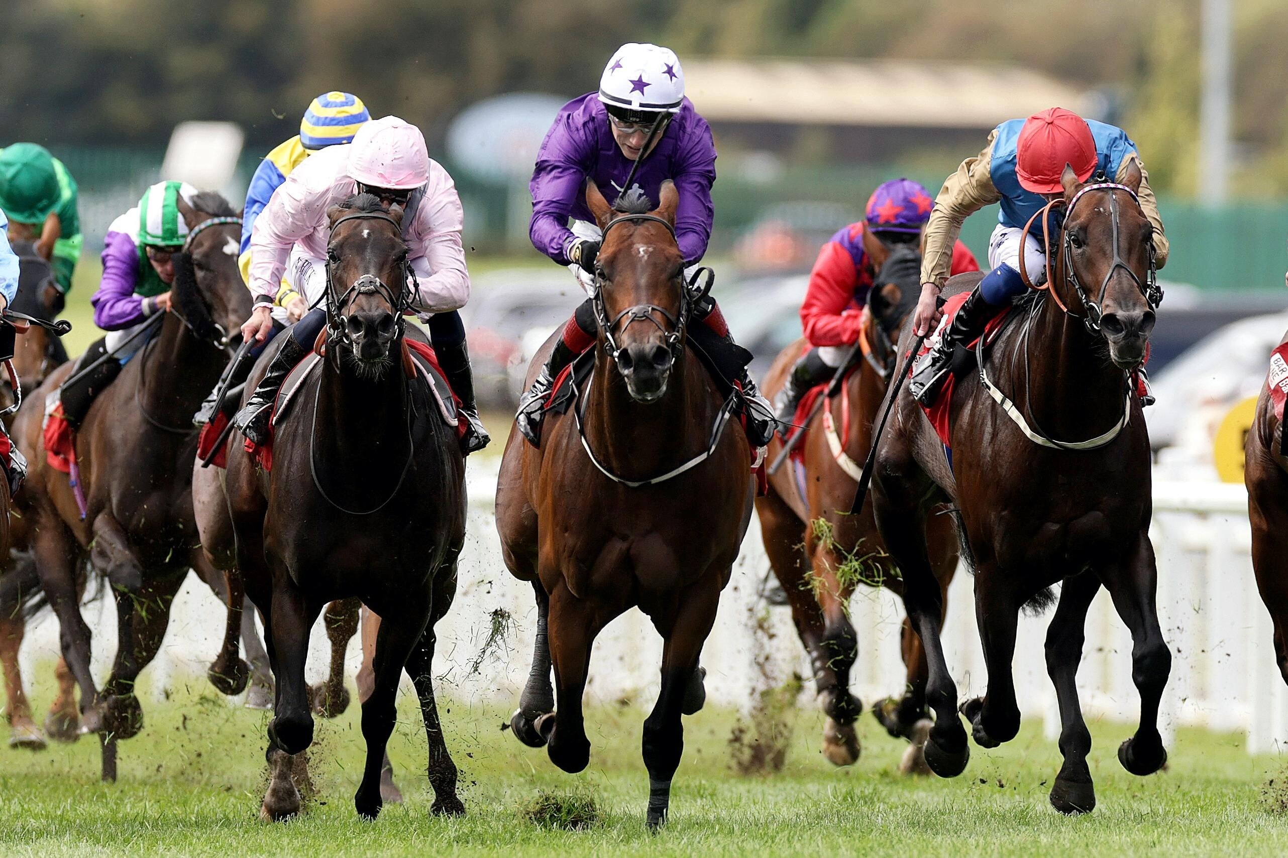 Arizona Blaze gets his Group 1 in BC WAYI Flying Five | BRISnet.com ...