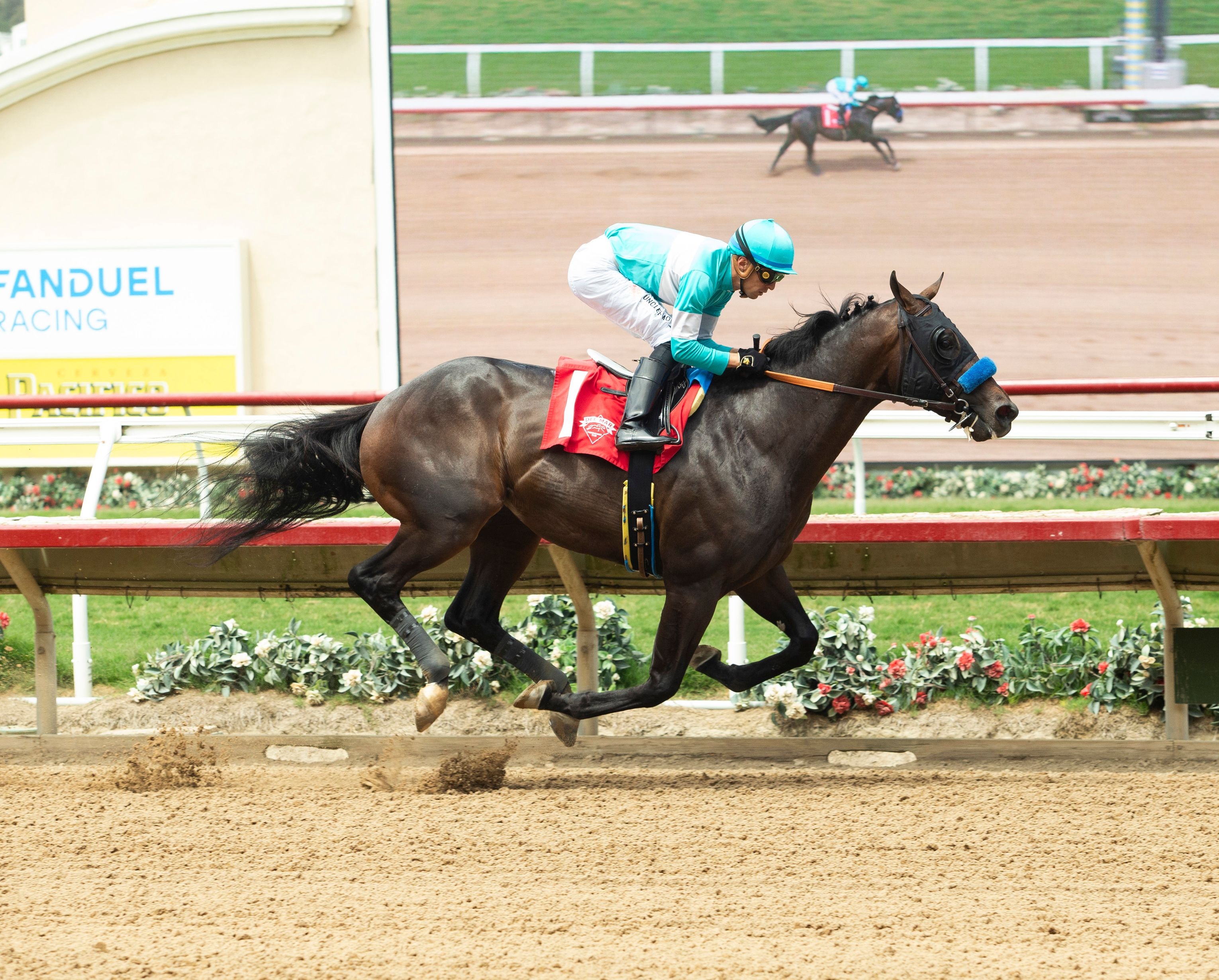 Balboa shortens up for Jerome | BRISnet.com Trusted Data & More