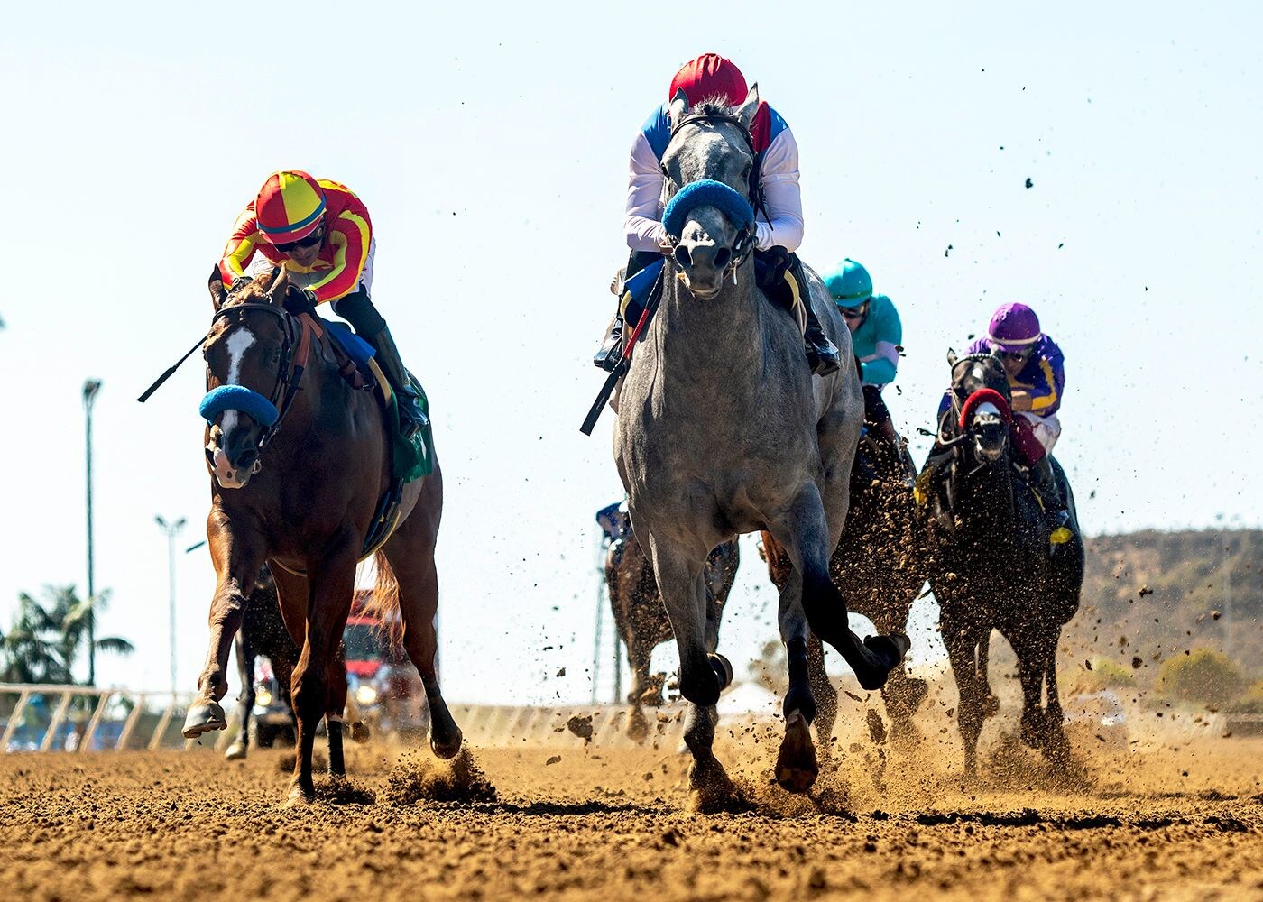 Brant in control as Baffert’s 19th Del Mar Futurity winner | BRISnet ...