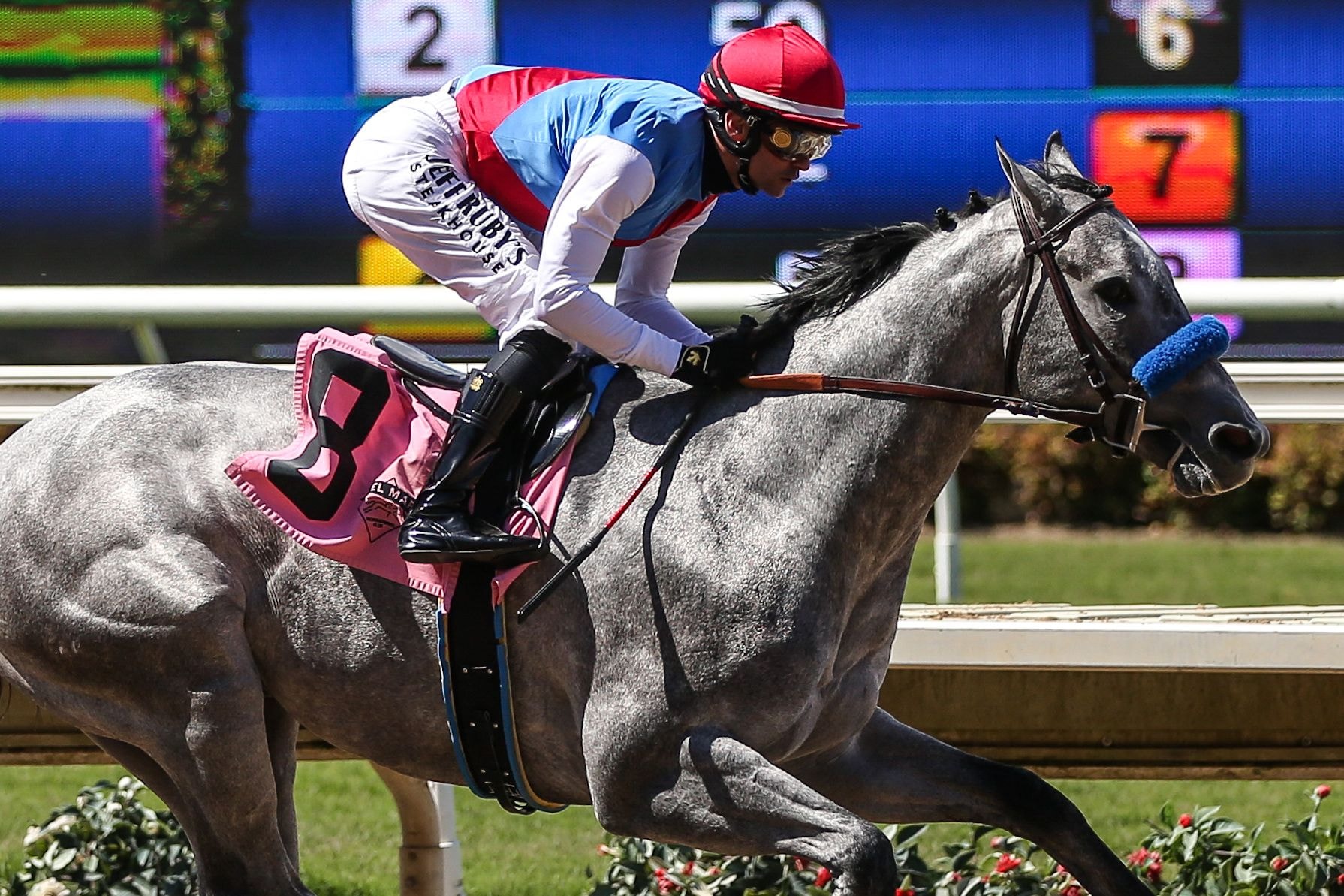 Brant even-money in Baffert-laden Del Mar Futurity | BRISnet.com ...