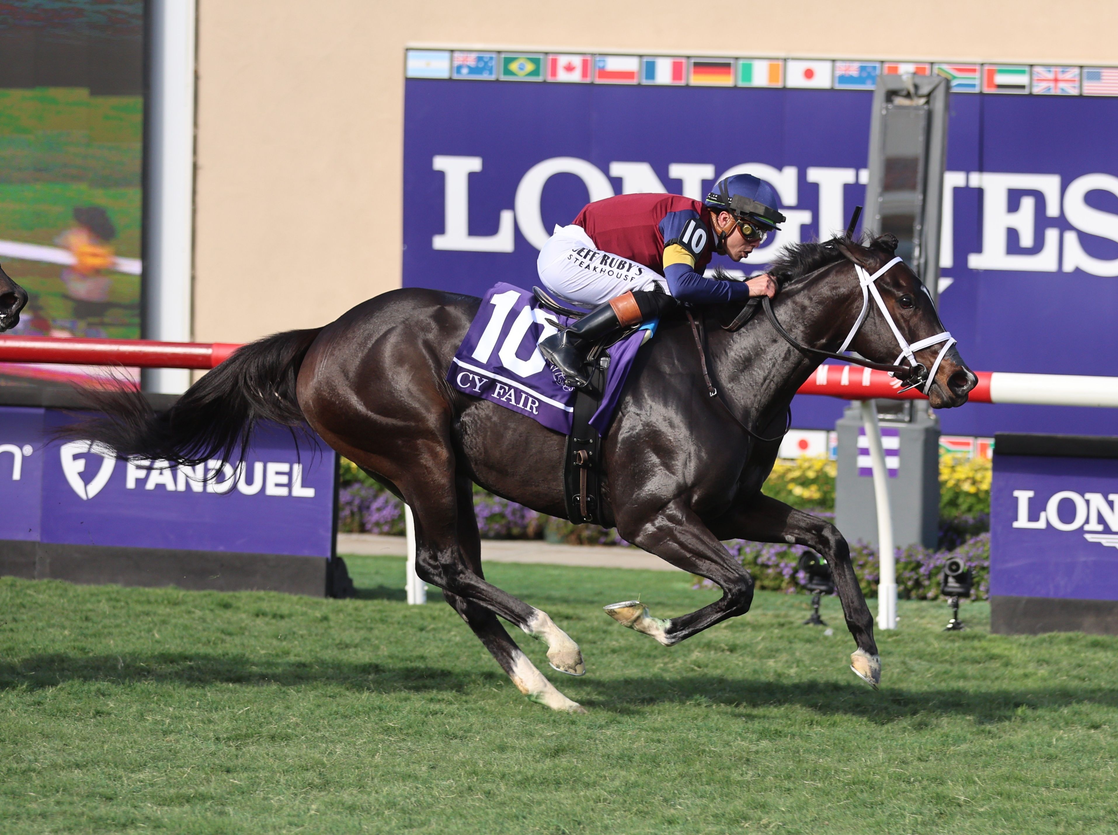 Cy Fair gives Weaver first BC win in Juvenile Turf Sprint | BRISnet.com ...