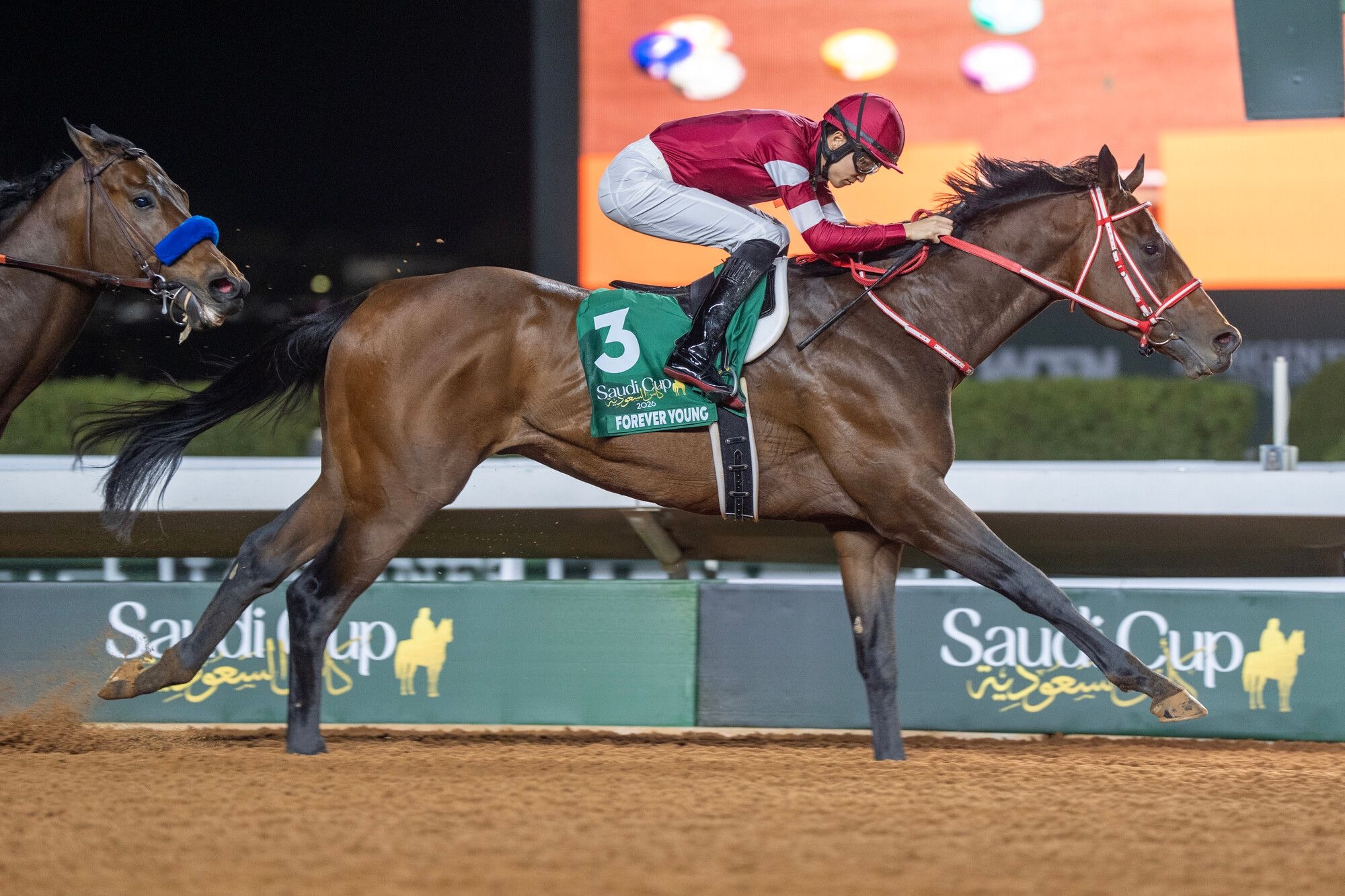 Forever Young holds off Nysos to retain Saudi Cup crown | BRISnet.com ...