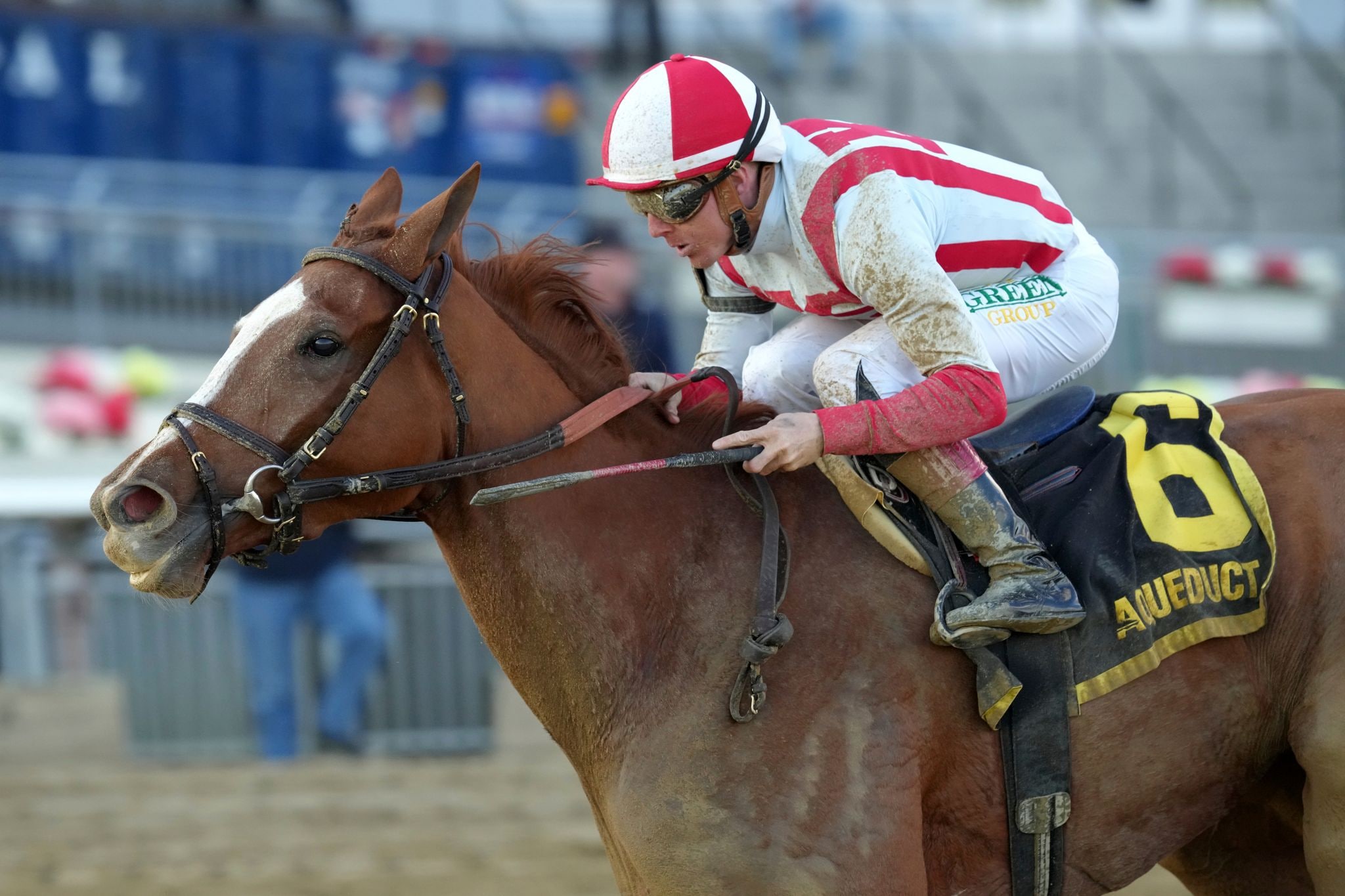 Fully Subscribed, Disco Time shine in Big A stakes | BRISnet.com ...