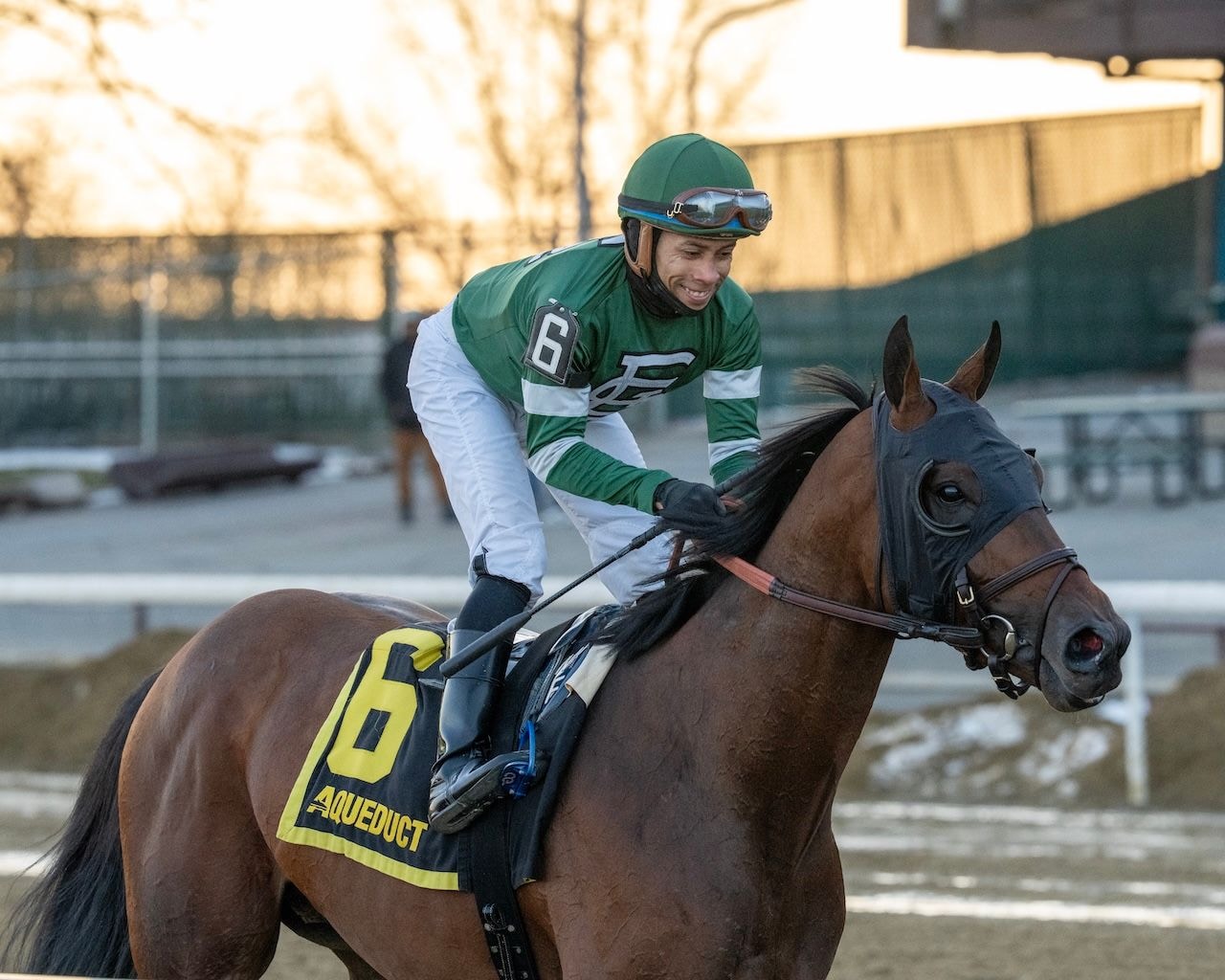 Iron Honor wears down stubborn foe in Gotham | BRISnet.com Trusted Data ...