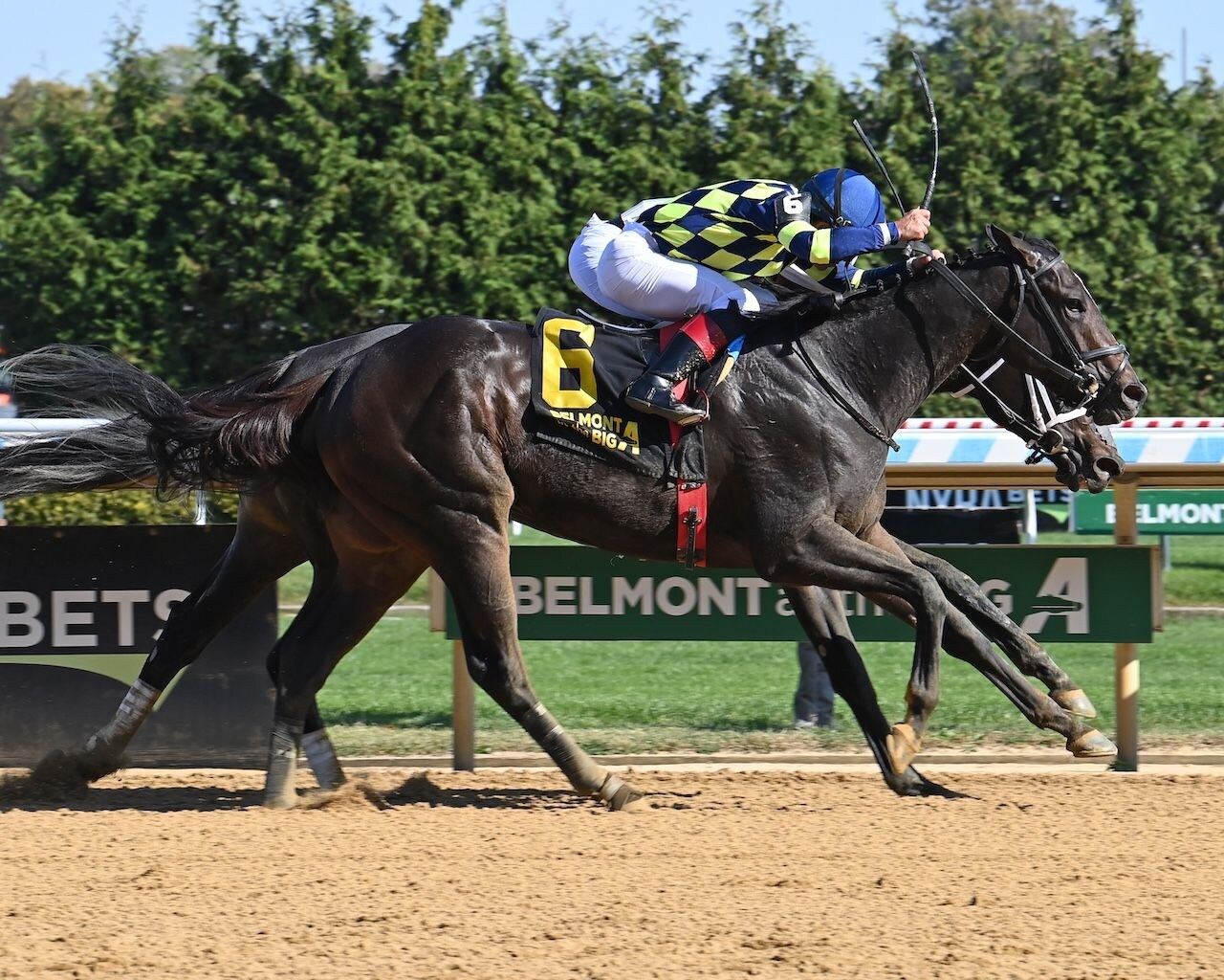 Iron Orchard wins Frizette photo | BRISnet.com Trusted Data & More