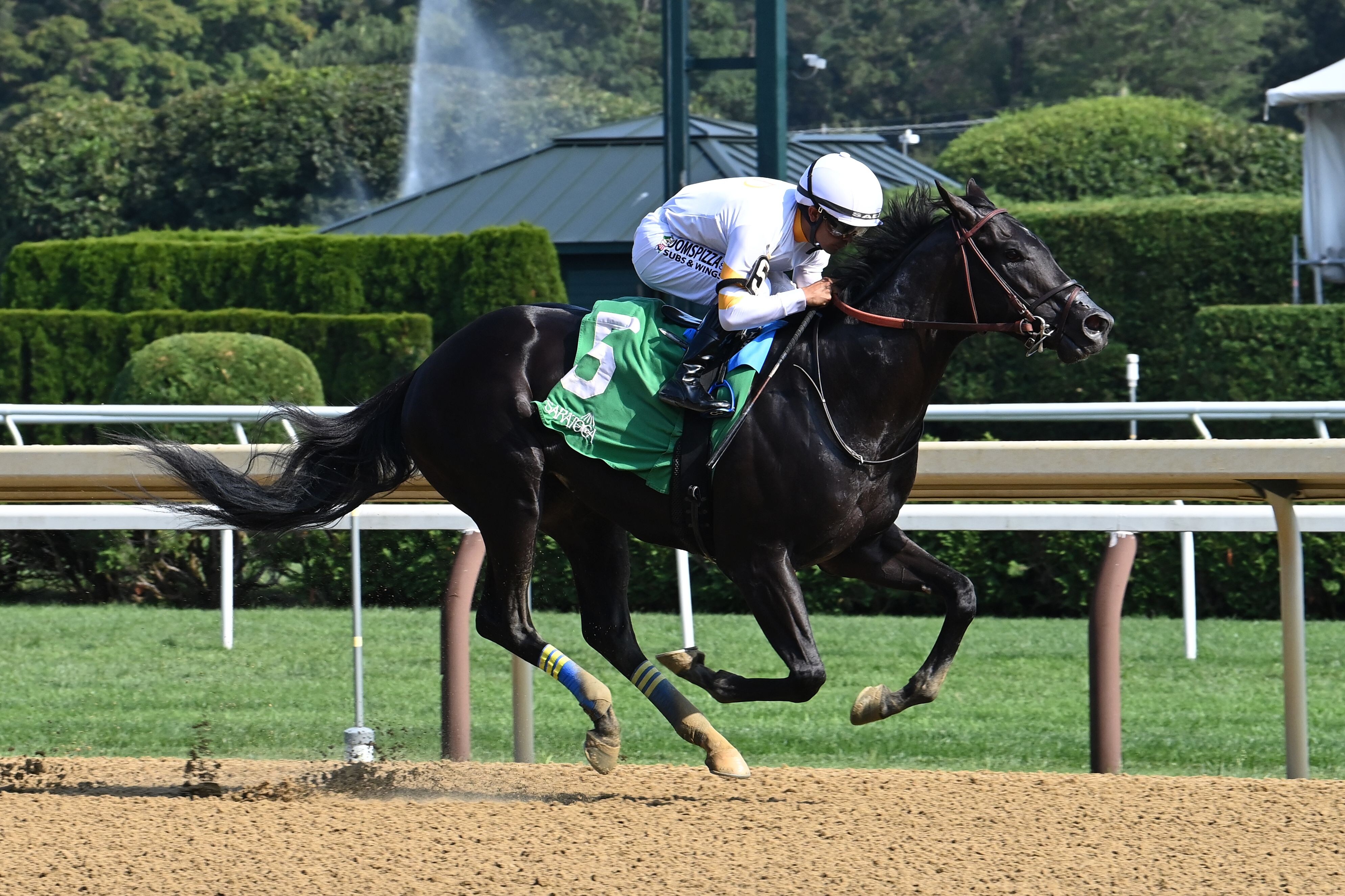 It's Our Time a potential standout in Champagne | BRISnet.com Trusted ...