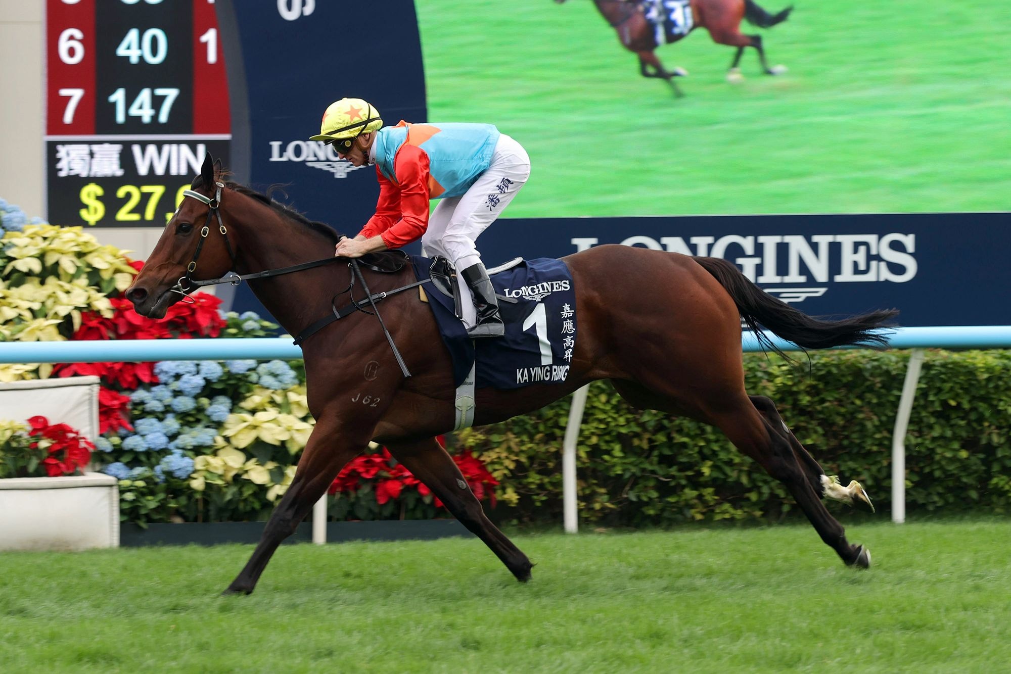Ka Ying Rising makes it 16 in a row in Hong Kong Sprint | BRISnet.com ...