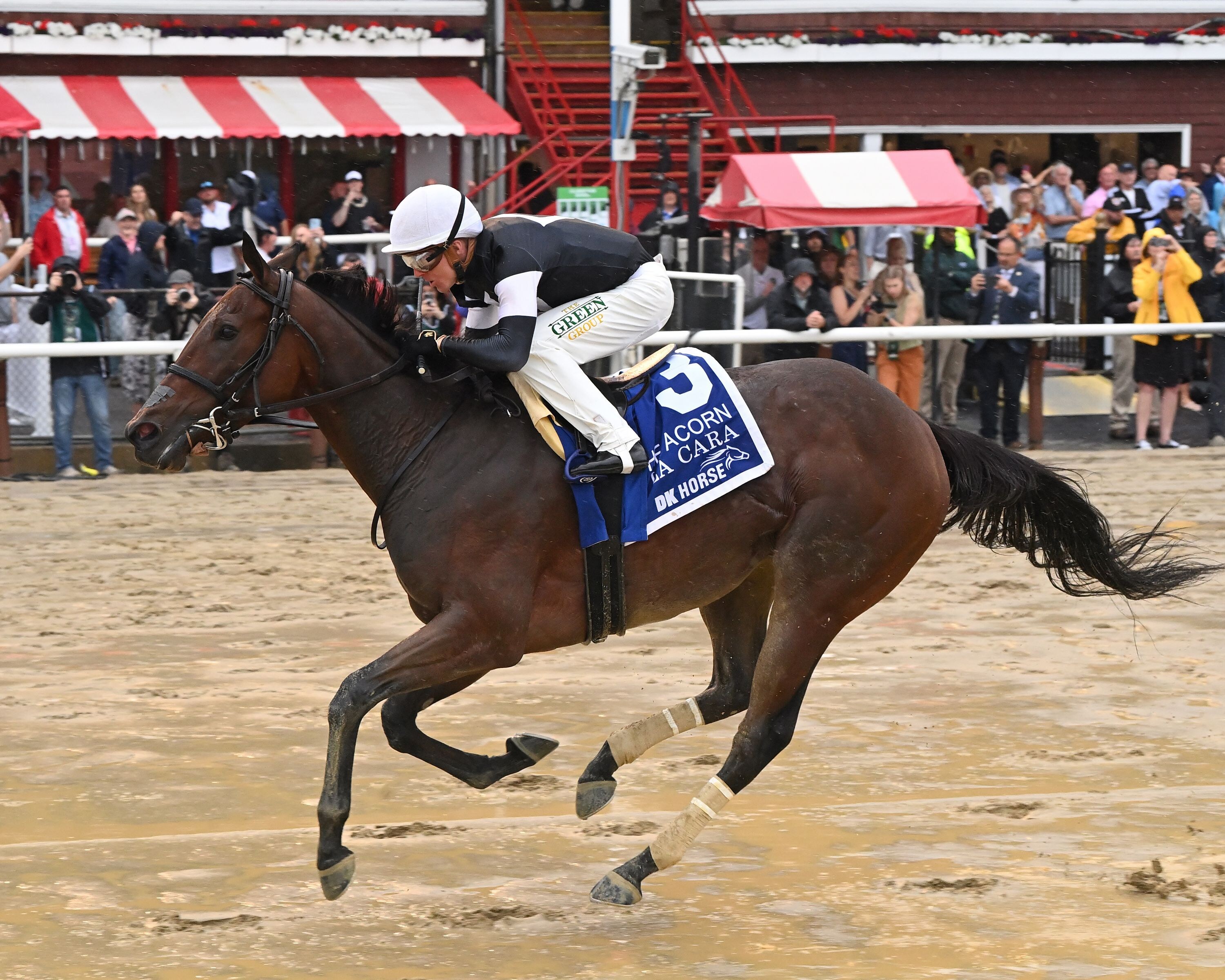 La Cara carries speed to Acorn glory; Good Cheer sustains first loss in ...