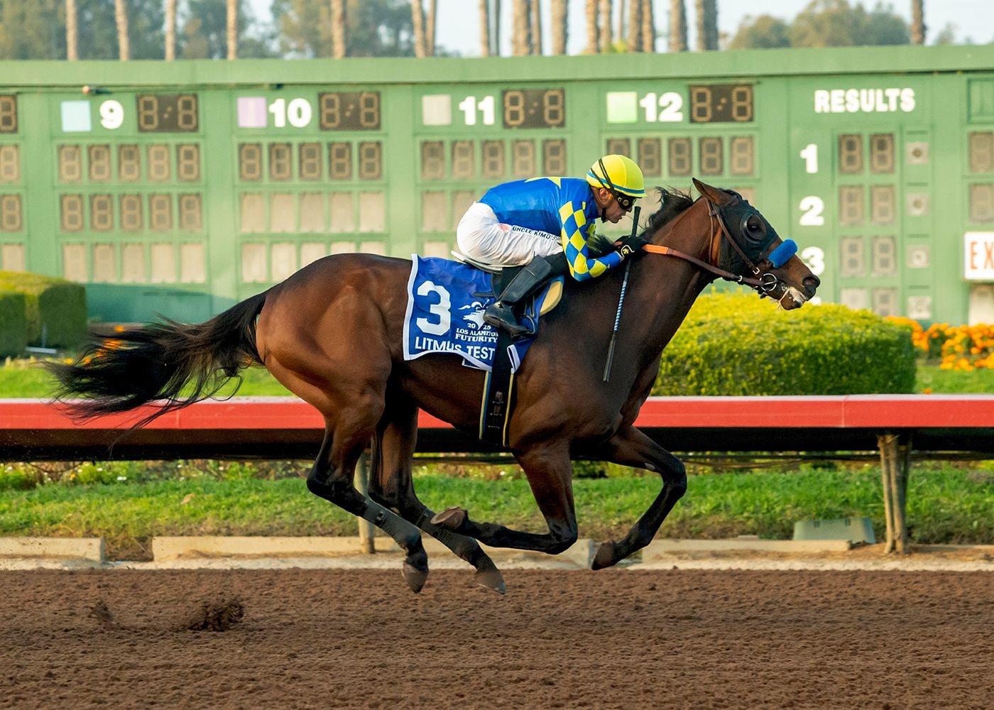 Southwest might go through Baffert stable | BRISnet.com Trusted Data & More