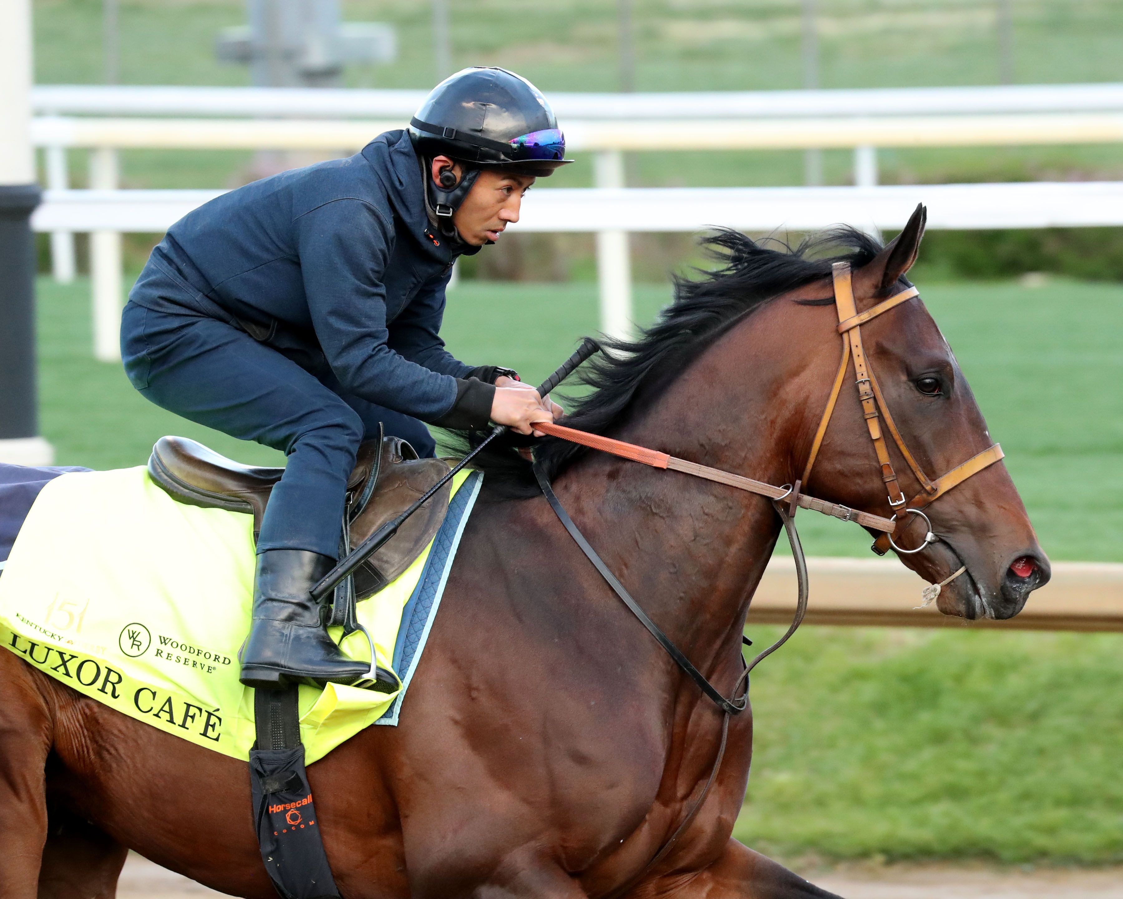 Champions Cup: Luxor Cafe gets rematch with Narukami | BRISnet.com ...