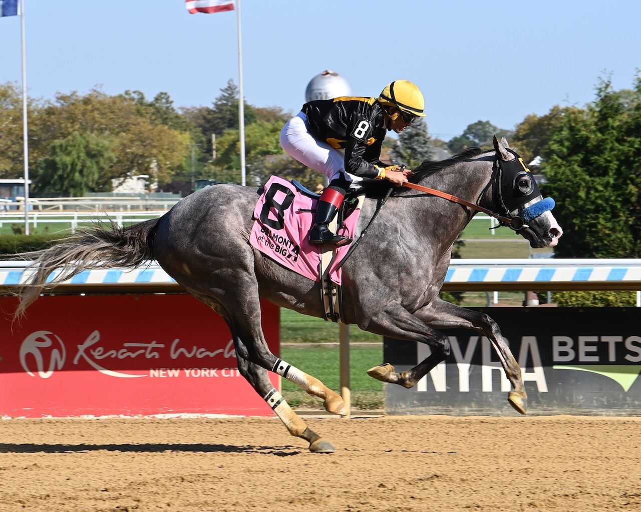LIVE Champagne Stakes 2025: Odds, picks, horse racing news | BRISnet ...