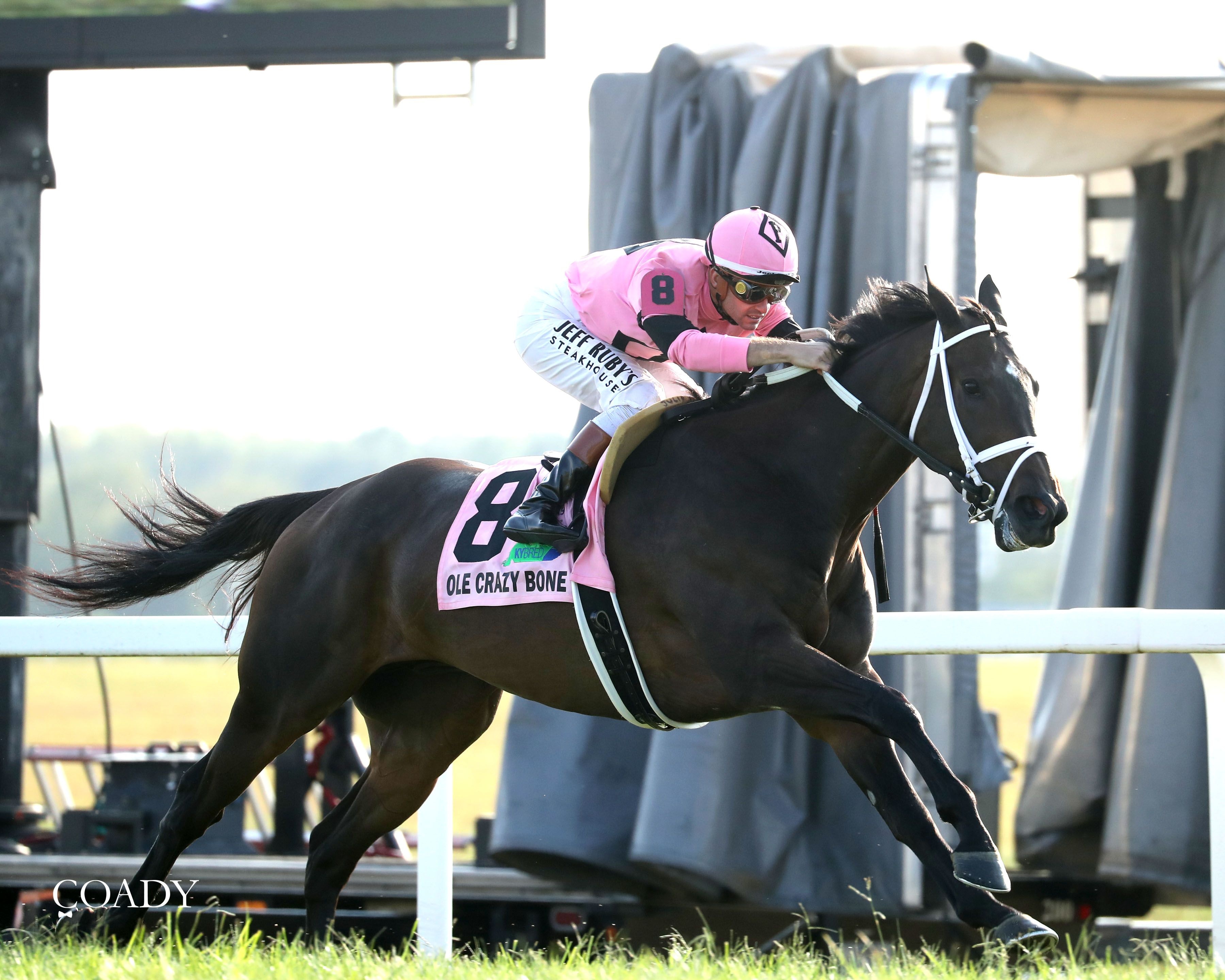 Ole Crazy Bone stamps BC ticket in Kentucky Turf Cup | BRISnet.com Trusted Data & More