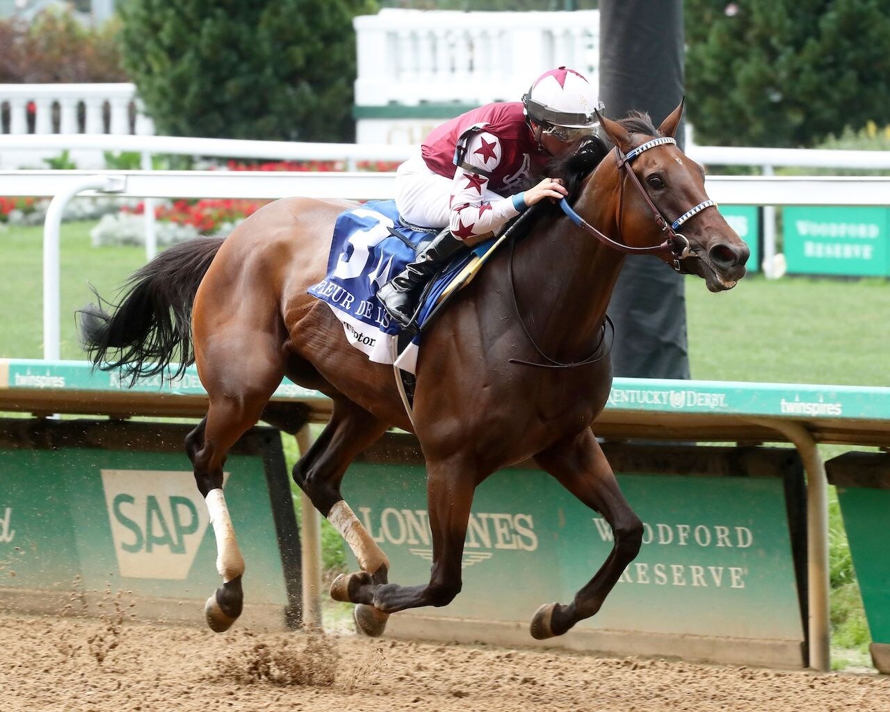 Thorpedo Anna, Book'em Danno headline Spa BC preps | BRISnet.com ...
