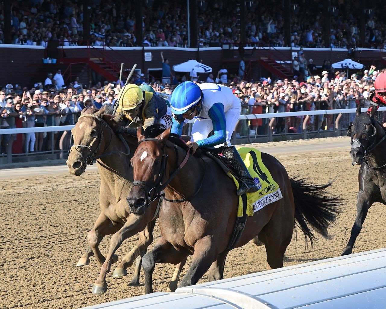 Book'em Danno, Hope Road land BC berths at the Spa | BRISnet.com ...