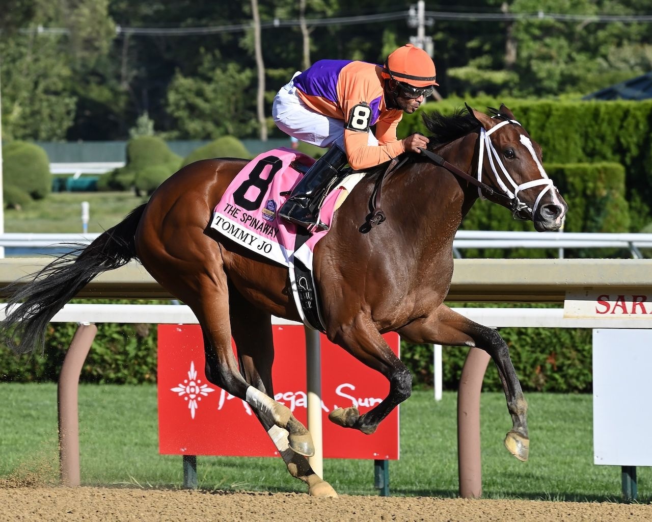 Tommy Jo stretches out in BC WAYI Alcibiades | BRISnet.com Trusted Data ...