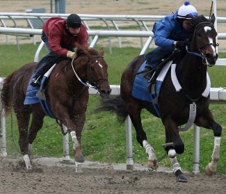 Rachel Alexandra finishes fast in six-furlong breeze | BRISnet.com ...