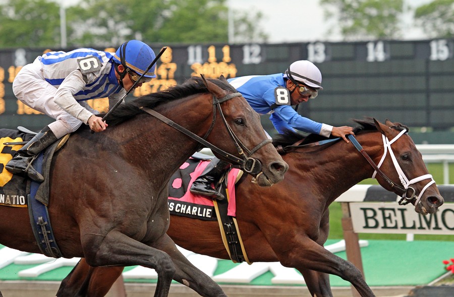 Alternation arrives in time for Peter Pan win - Brisnet