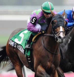 Eleven line up for Lexington | BRISnet.com Trusted Data & More