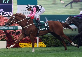 Flash gets Beauty of a trip in HK Mile | BRISnet.com Trusted Data & More