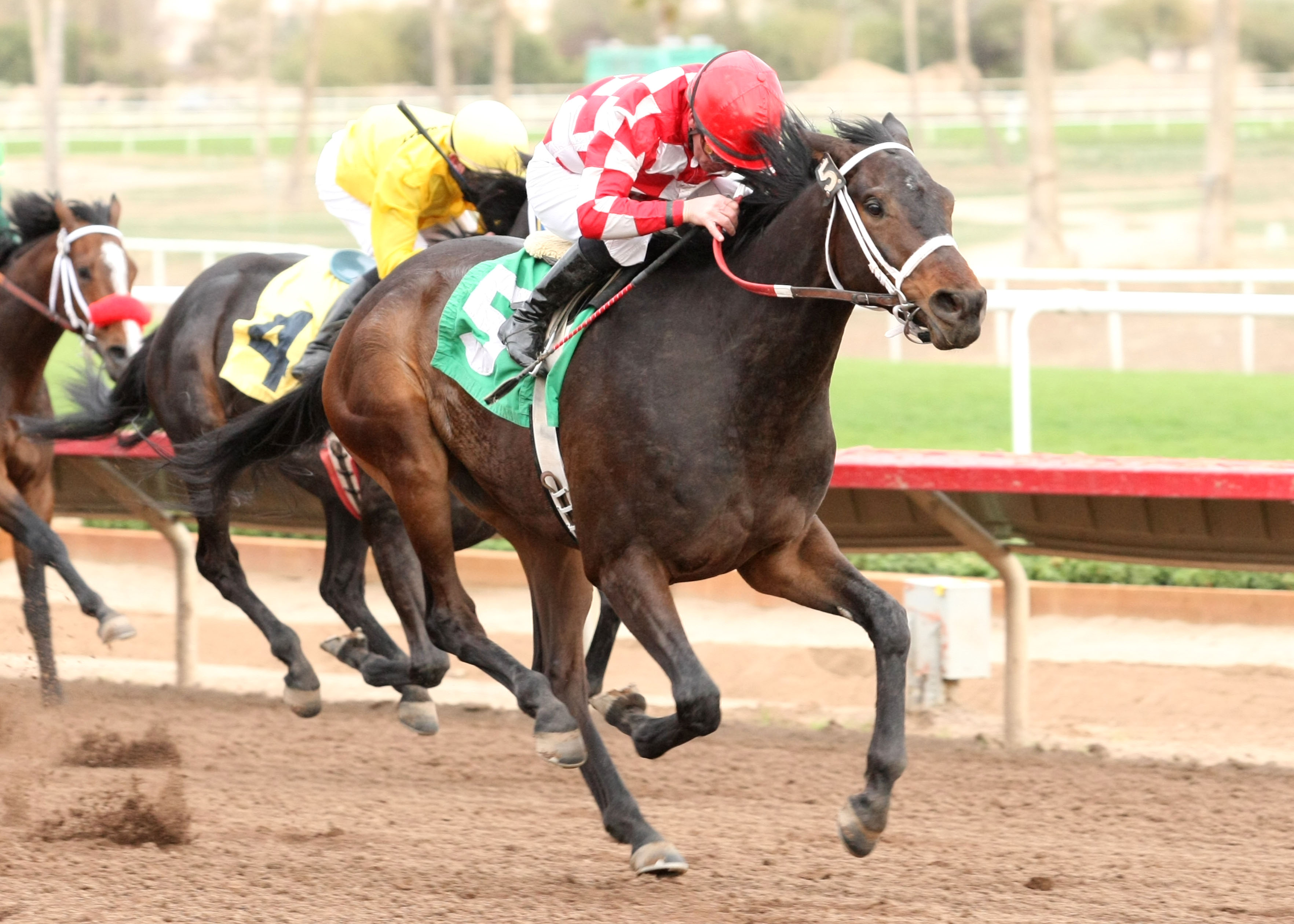 Fusa Code breaks maiden in Borderland; Beer Meister shocks at Turf ...