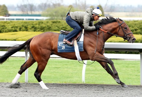 Oversubscribed Blue Grass features Bobby's Kitten, Medal Count and ...