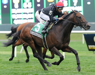 Boisterous headed to Manhattan; Winter Memories targets Just a Game ...