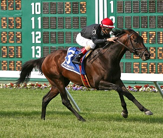 Boisterous, Optimizer leading candidates in Man o' War - Brisnet