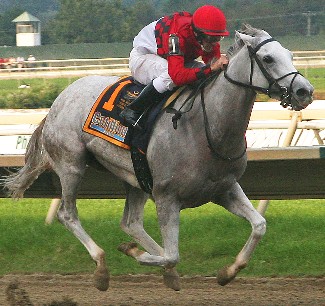 Careless Jewel shines in Cotillion | BRISnet.com Trusted Data & More