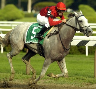 Careless Jewel faces five in Cotillion | BRISnet.com Trusted Data & More