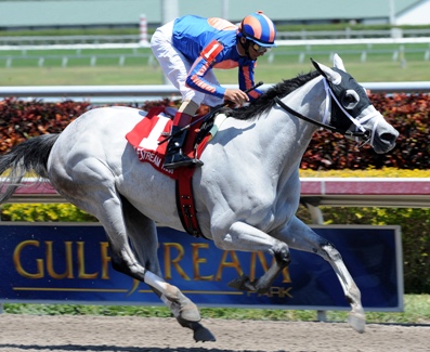 Ciao Bella wires Rampart - Brisnet