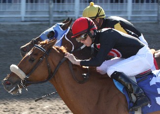 War Echo heralds return with DRF Distaff victory | BRISnet.com Trusted ...
